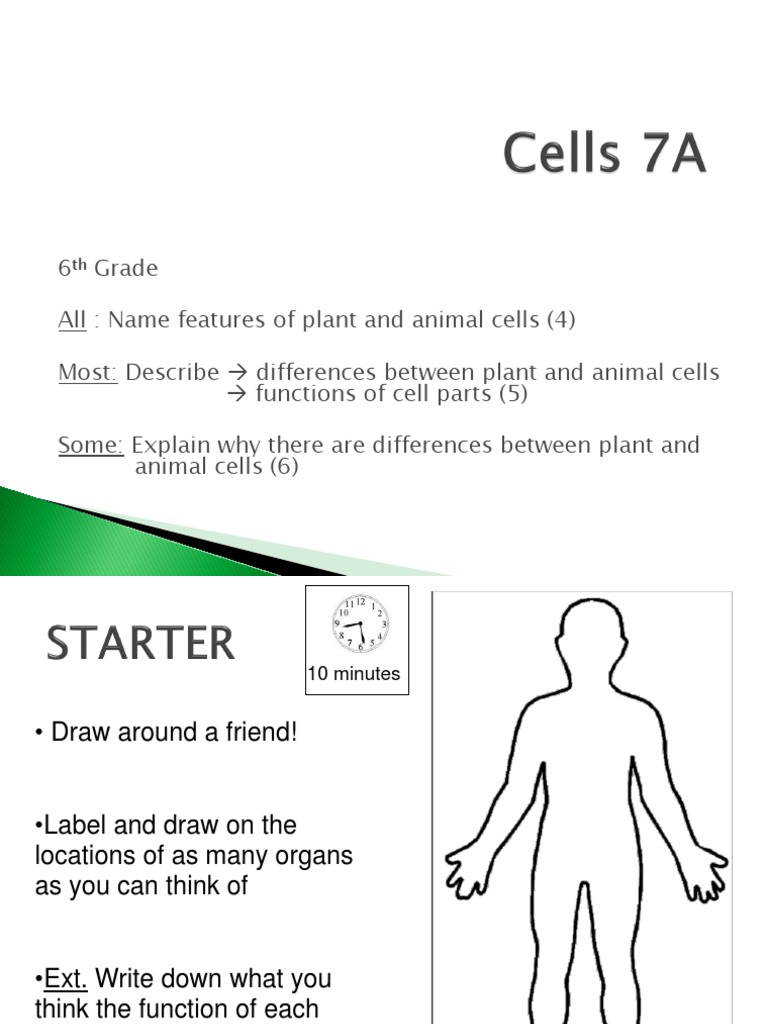 Cells 6th Grade | PDF | Science & Mathematics