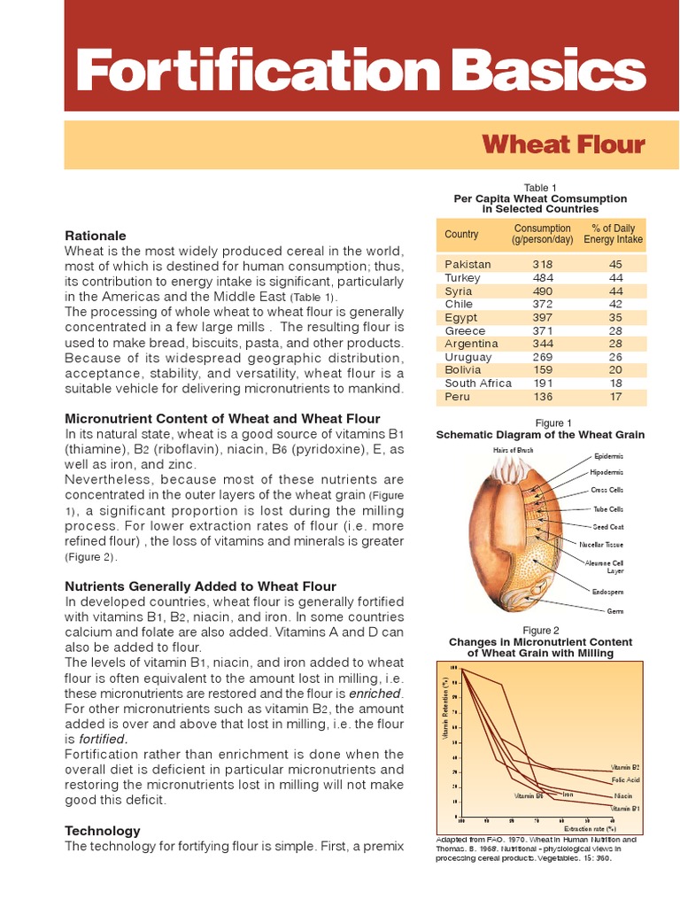 Wheat Flour Fortification: Restoring Lost Micronutrients | PDF ...