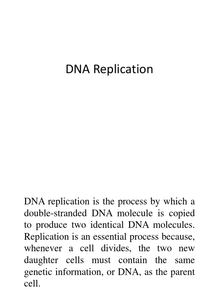 DNA Replication | PDF | Dna Replication | Primer (Molecular Biology)