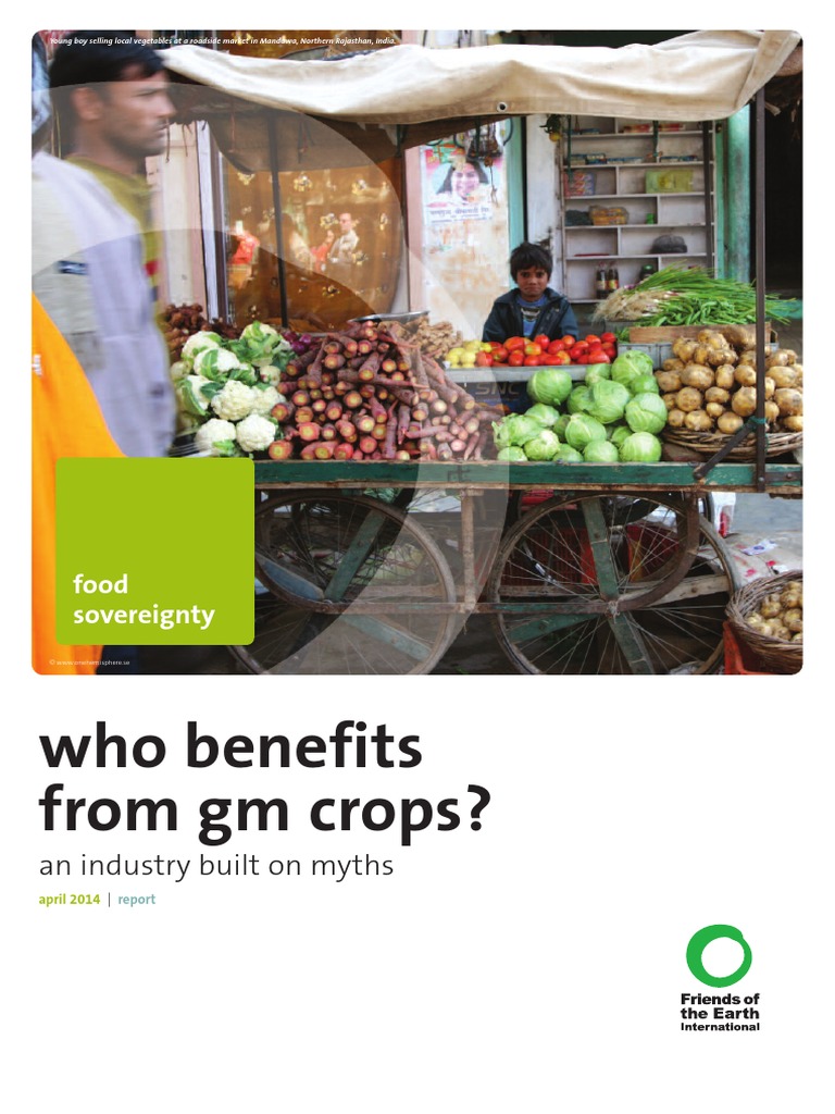 Who Benefits From GM Crops | PDF | Genetically Modified Crops | Genetic ...