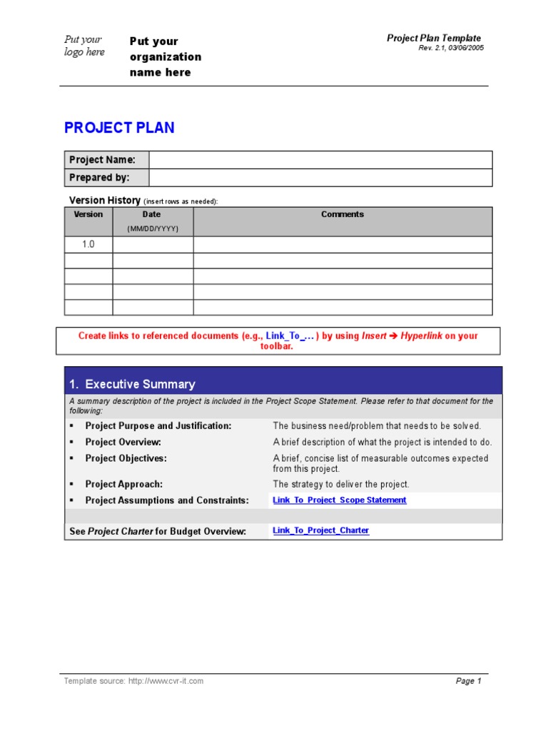Project Plan: Put Your Logo Here | PDF | Business