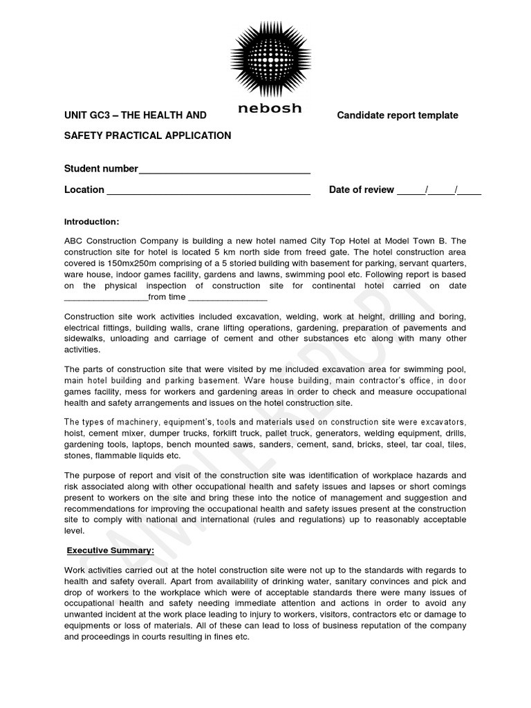 Sample Management Report | PDF | Occupational Safety And Health | Safety