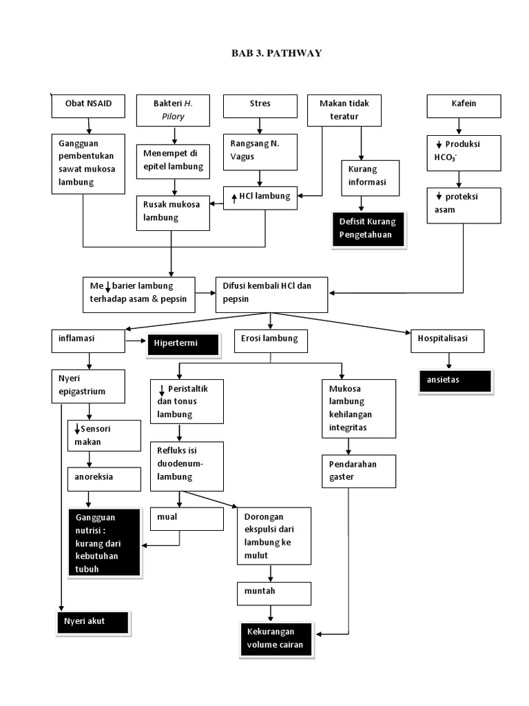 Pathway Penyakit Gastritis dan GERD | PDF