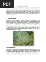 Vestimenta de La Cultura Xinca | PDF | Ropa | Falda