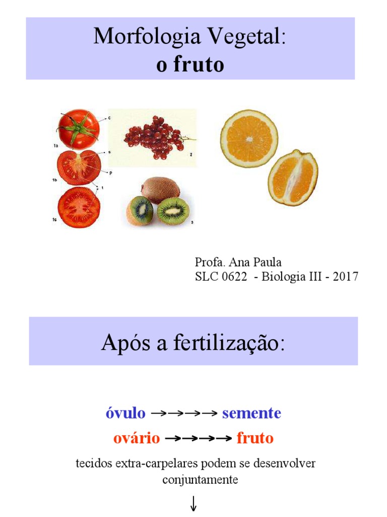 Morfologia e classificação dos frutos: estruturas e funções na ...