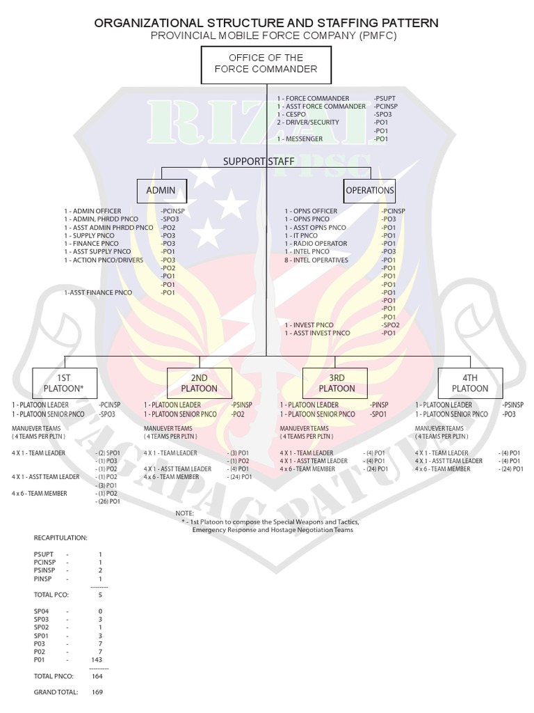 Organizational Structure and Staffing of the Provincial Mobile Force ...