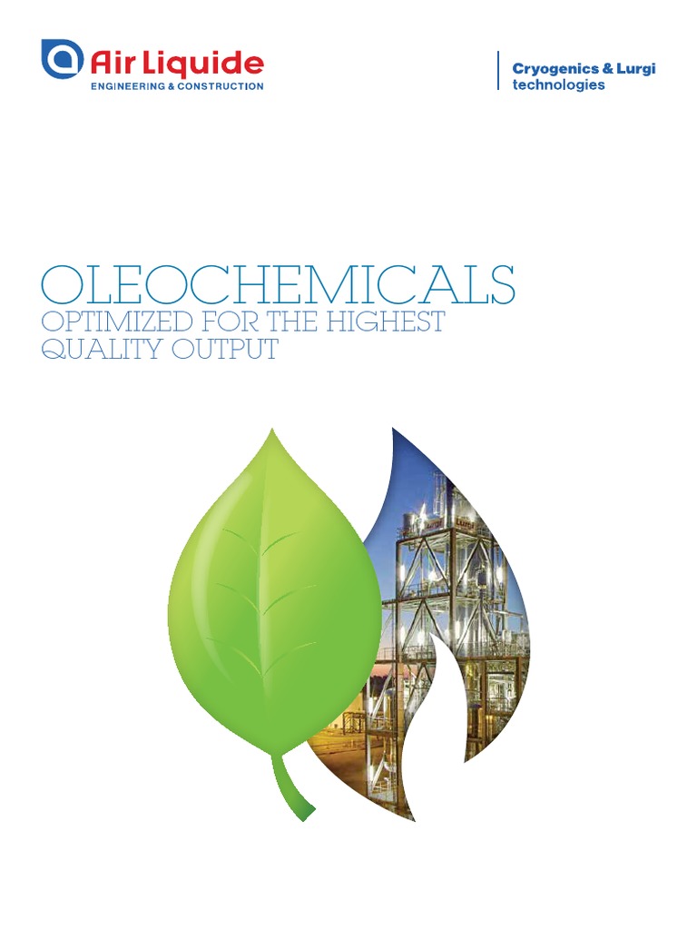 Oleochemicals: Optimized For The Highest Quality Output | PDF ...