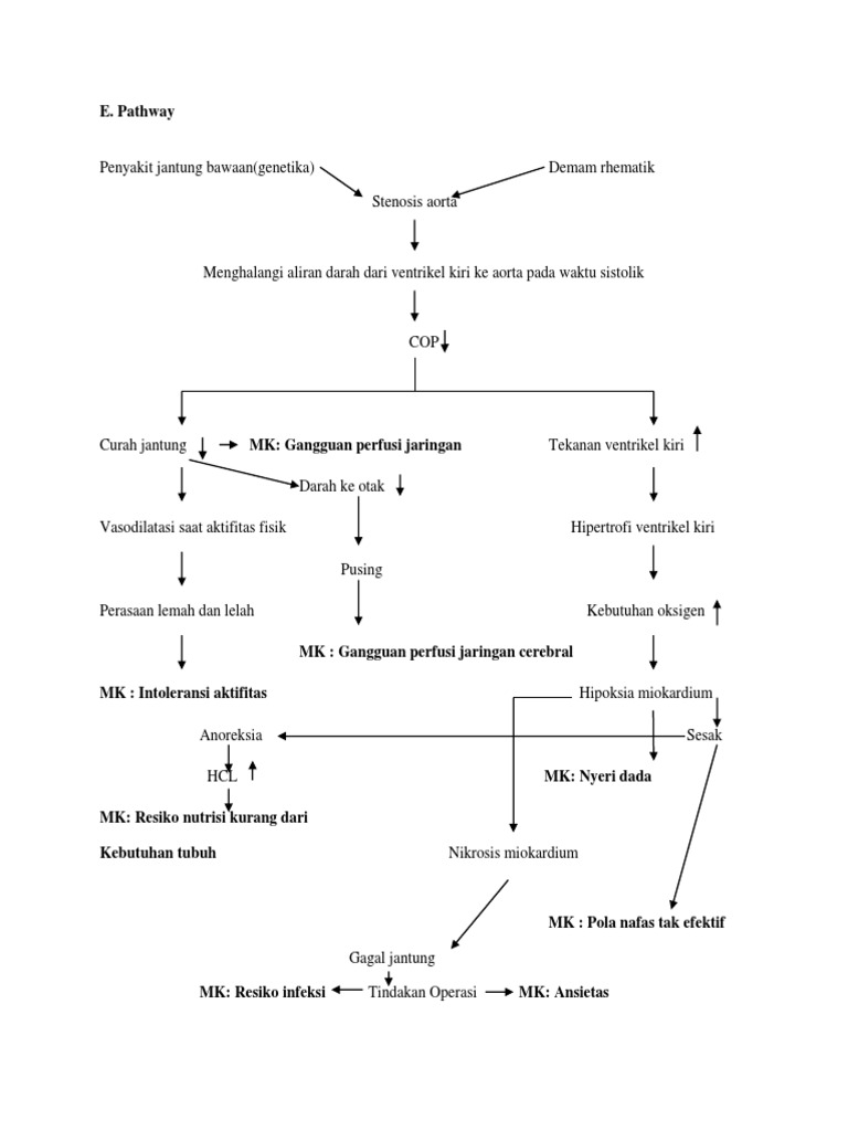 Pathway Stenosis Aorta | PDF