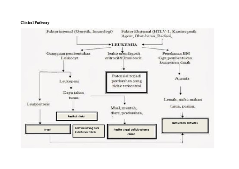 Pathway Leukemia | PDF