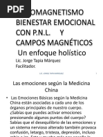Escala San Elian Minsal | PDF | Pie | Enfermedades y trastornos humanos