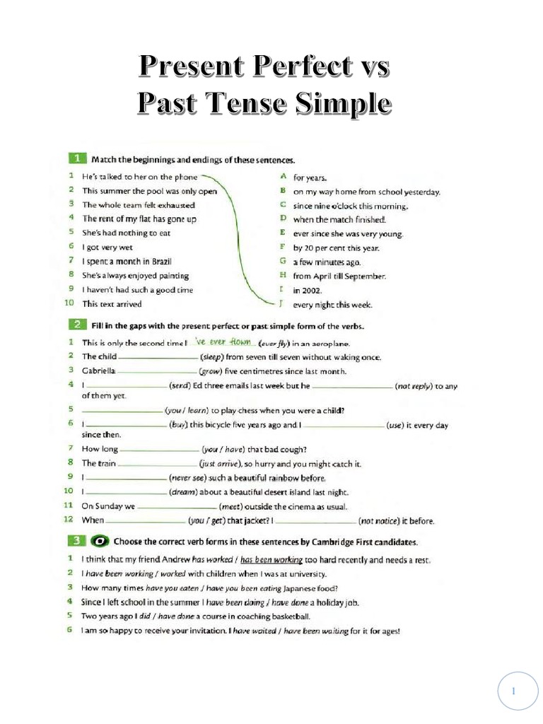 Present Perfect Vs Past Simple - Exercise | PDF