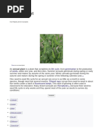Understanding Annual Crops and Examples | PDF | Agriculture | Crop Rotation