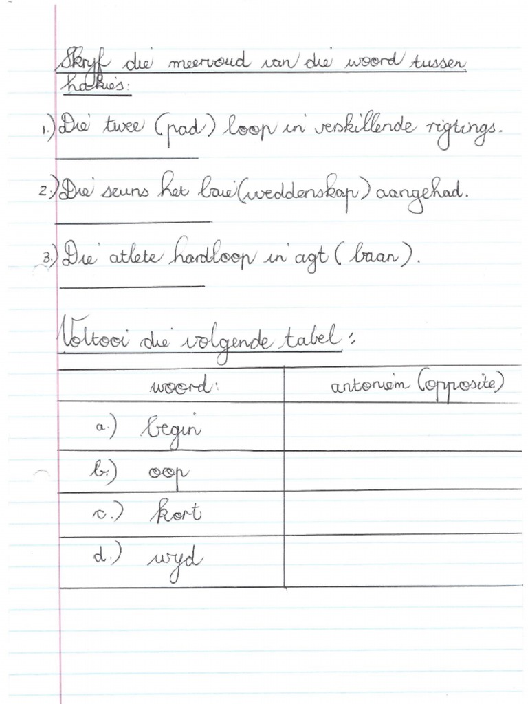 AFRikAANS HERSIENING | PDF