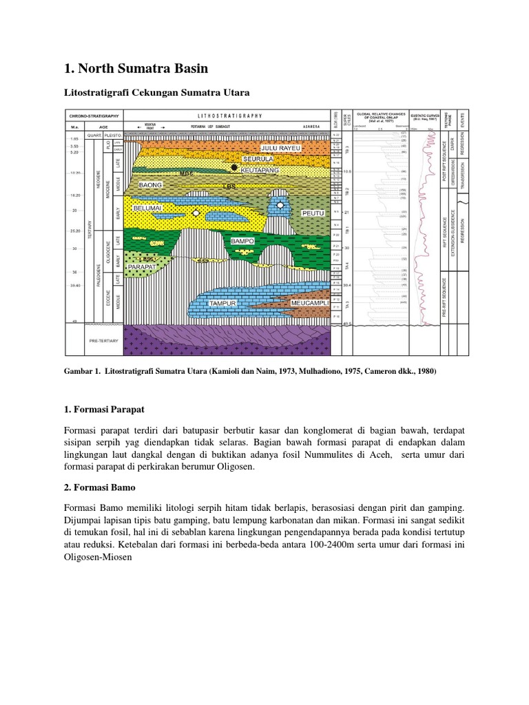 Litostratigrafi North Sumatra Basin and Central Sumatra Basin | PDF ...