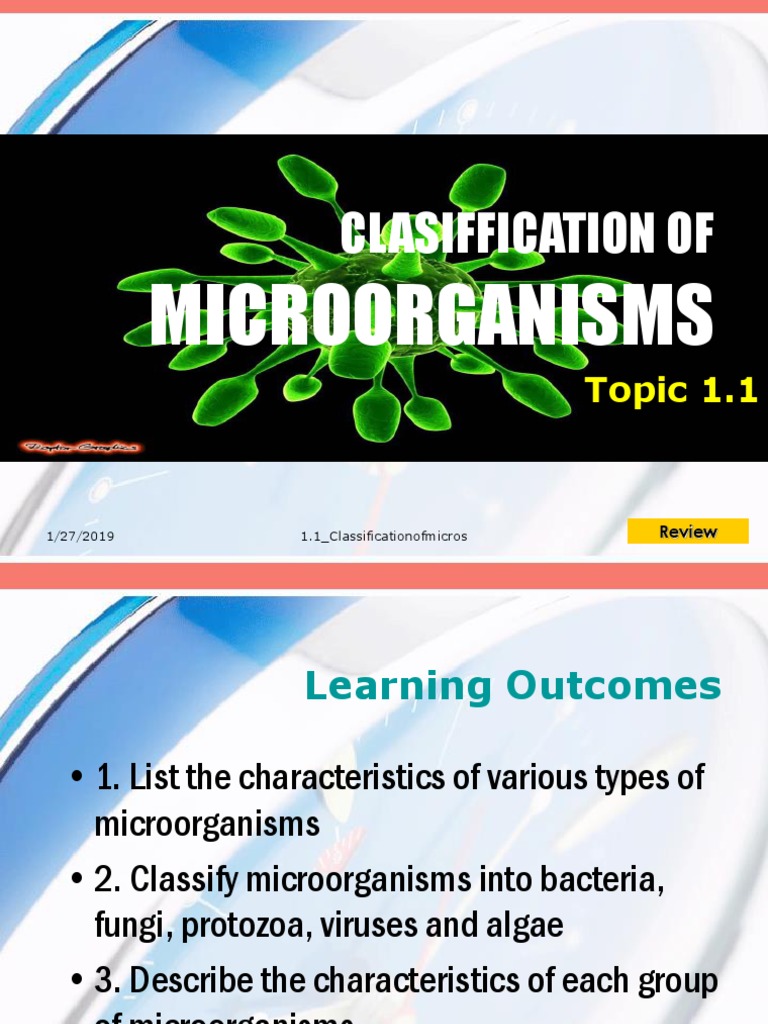 Microorganisms: Clasiffication of | PDF | Microorganism | Algae