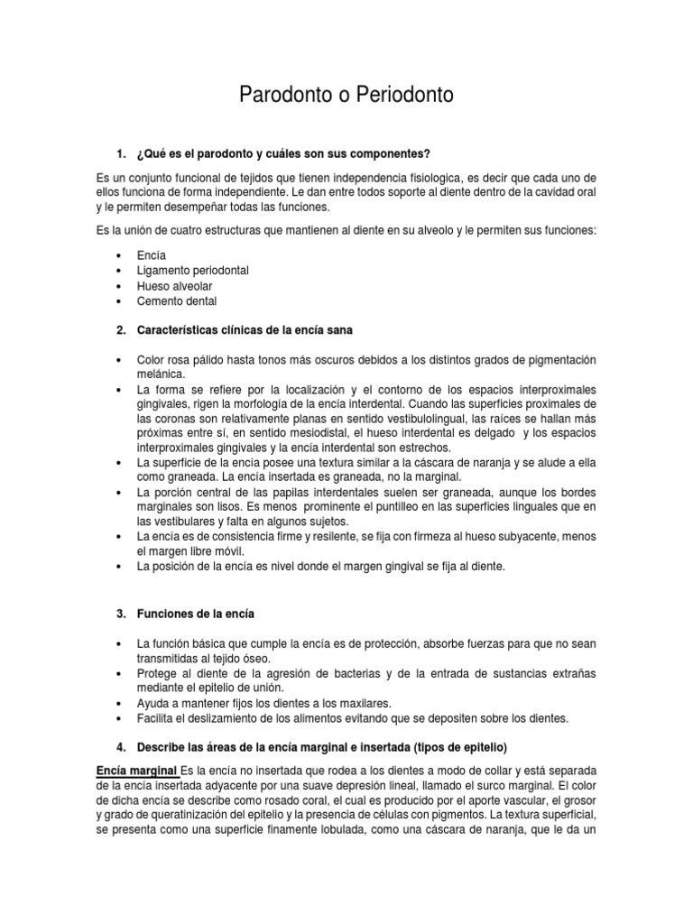 Parodonto o Periodonto | PDF | Anatomia animal | Anatomía