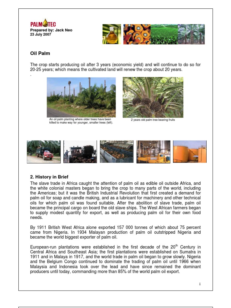 Introduction To Oil Palm & Palm Oil Milling-Introduction | PDF | Palm ...