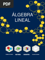Álgebra Lineal - Larson | PDF