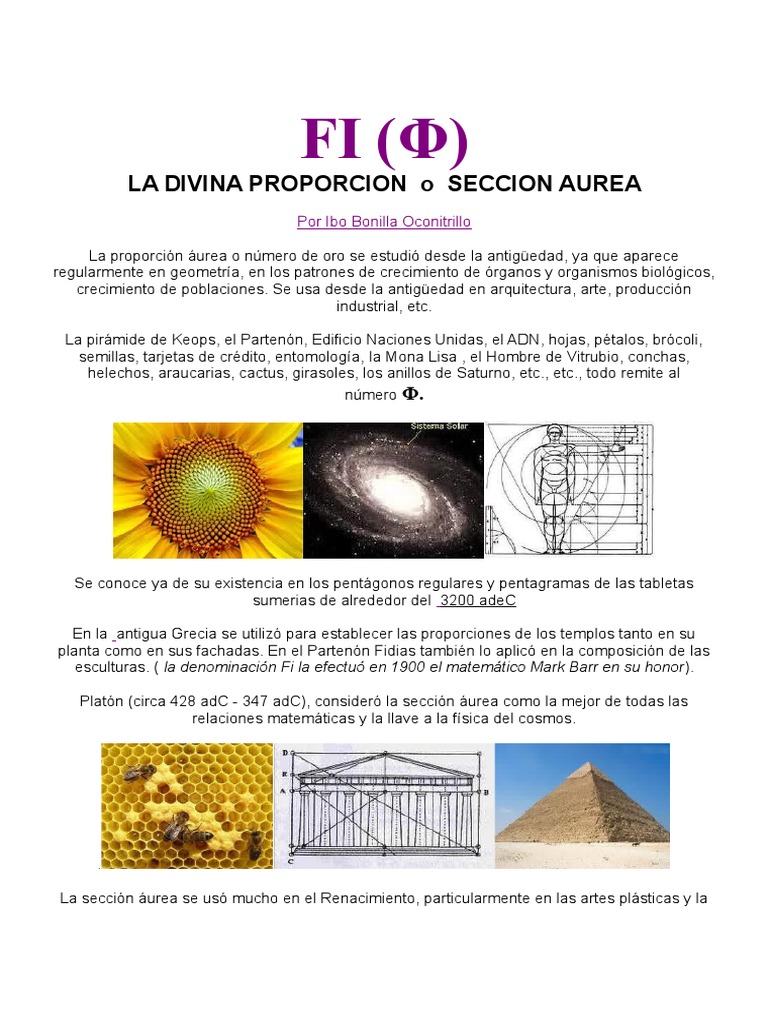 divina proporcion | Física y matemáticas | Matemáticas