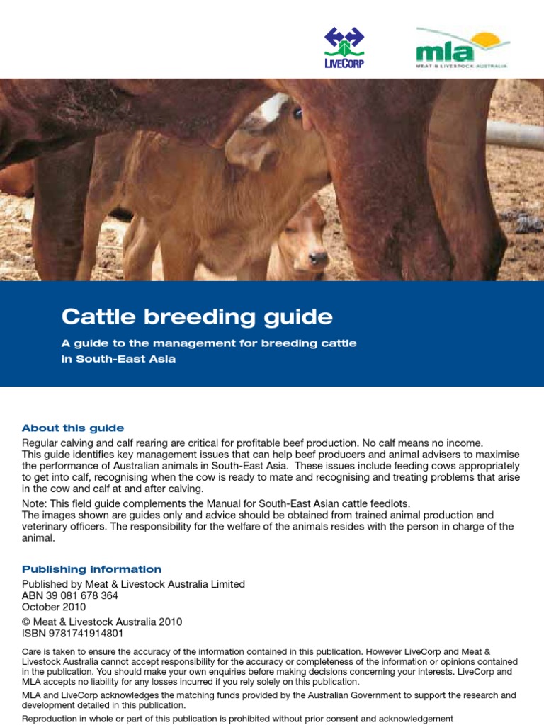 Cattle Breeding Guide | PDF | Calf | Cattle