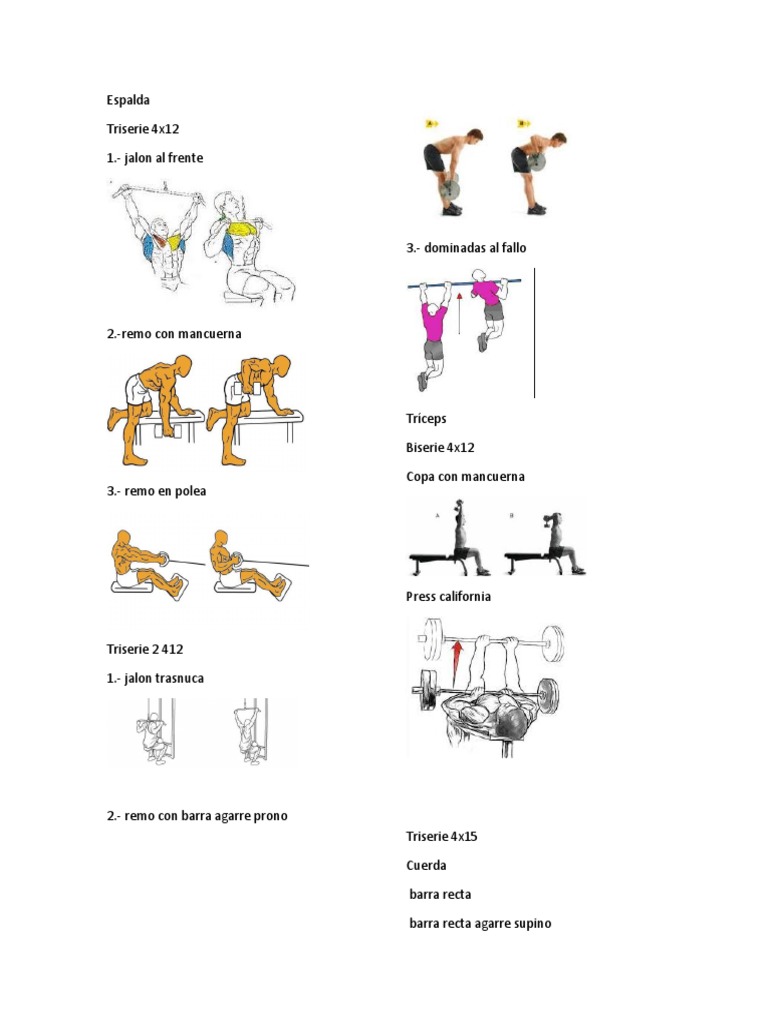 Rutinas Gym | PDF