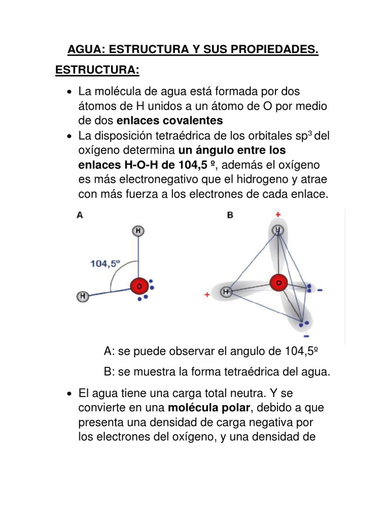 Estructura y propiedades del agua | PDF