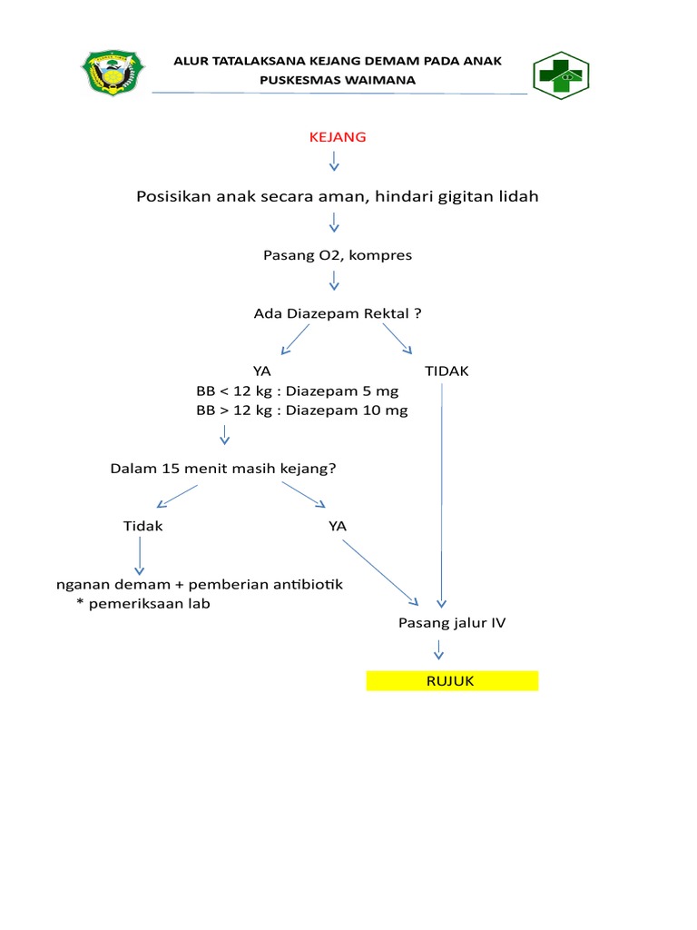 Alur Tatalaksana Kejang | PDF