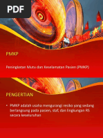 Overview Standar PMKP STARKES 2024 - 10 FEB 2025 | PDF