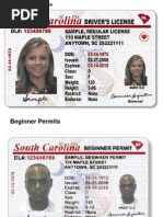 Driving Licence Font Name | PDF | Typefaces | License