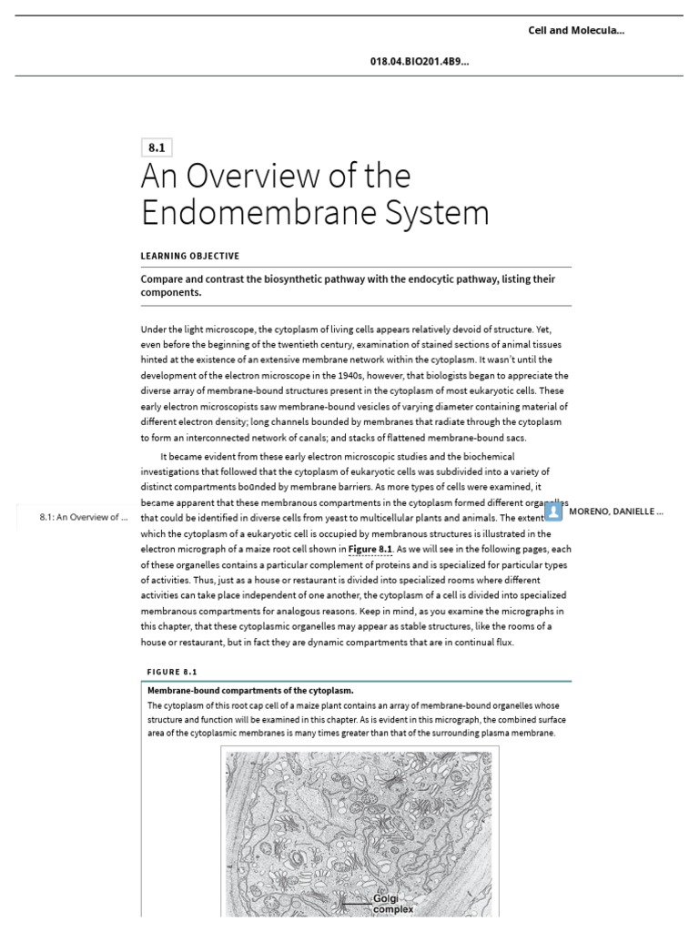 An Overview of The Endomembrane System | PDF | Secretion | Vesicle ...
