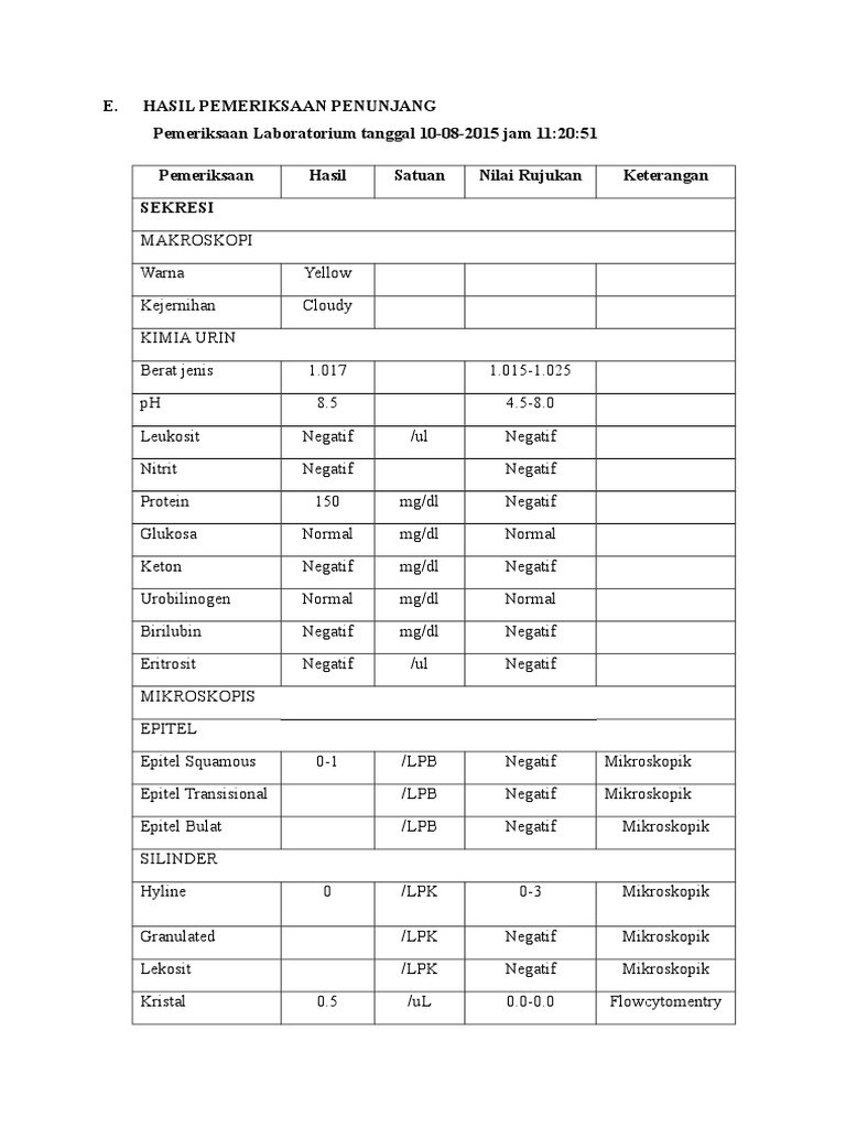 Hasil Pemeriksaan Penunjang CKD V Ny | PDF
