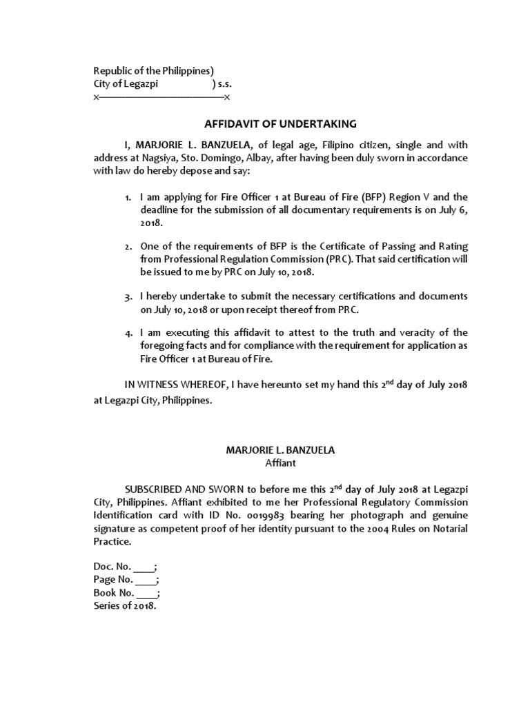 Affidavit of Insurance - Alfonzo Tan | PDF