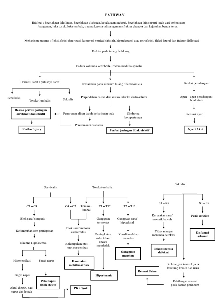 Pathway Paraparese (Rinra Sayang I) | PDF