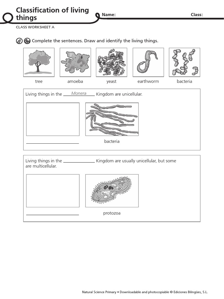Classification of Living Things: Complete The Sentences. Draw and ...