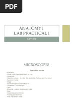 Mnemonics for Skeleton & Muscles | PDF | Human Leg | Foot
