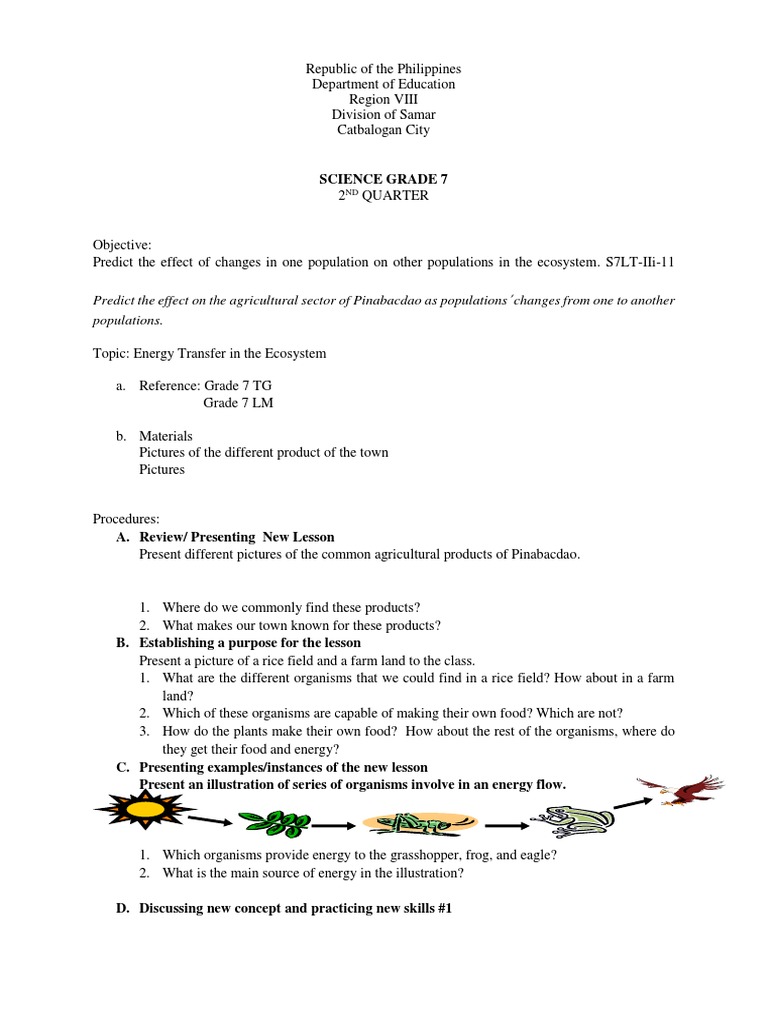 Lesson Plan Rubi | PDF | Learning | Behavior Modification