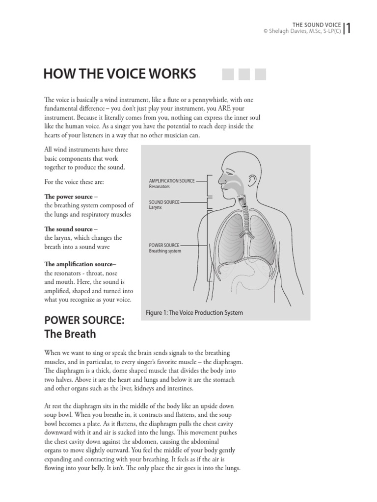 How The Voice Works Handout | PDF
