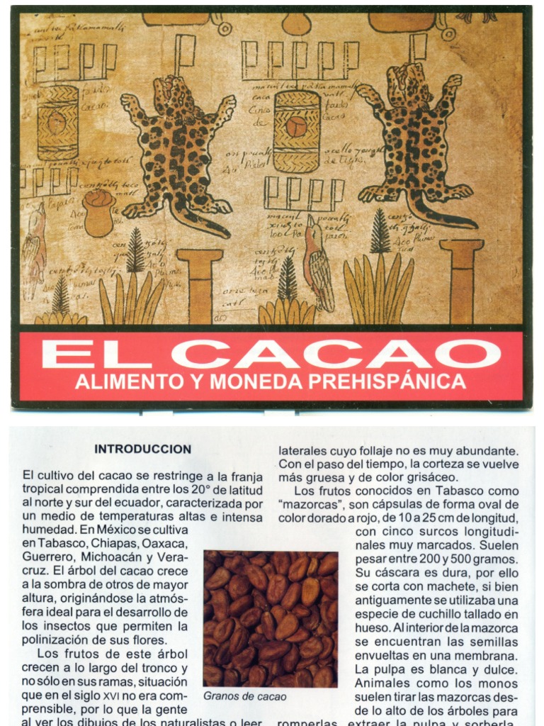 El Cacao. Alimento y Moneda Prehispánica - Gallegos Gómora 2003 | PDF