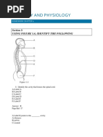 Anatomical Position Worksheet | PDF | Anatomical Terms Of Location ...