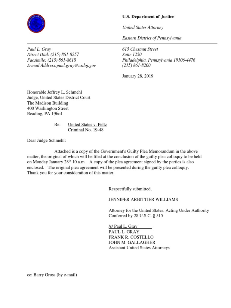 Peltz - Guilty Plea Memo 1-28 - Final | PDF | Payroll | United States ...