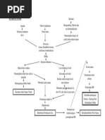 Skema Patofisiologi PPOK | PDF