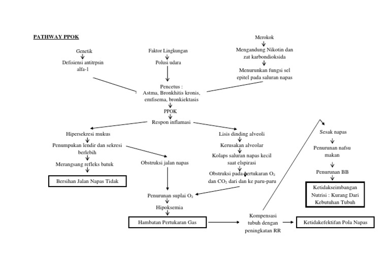 Pathway Ppok | PDF