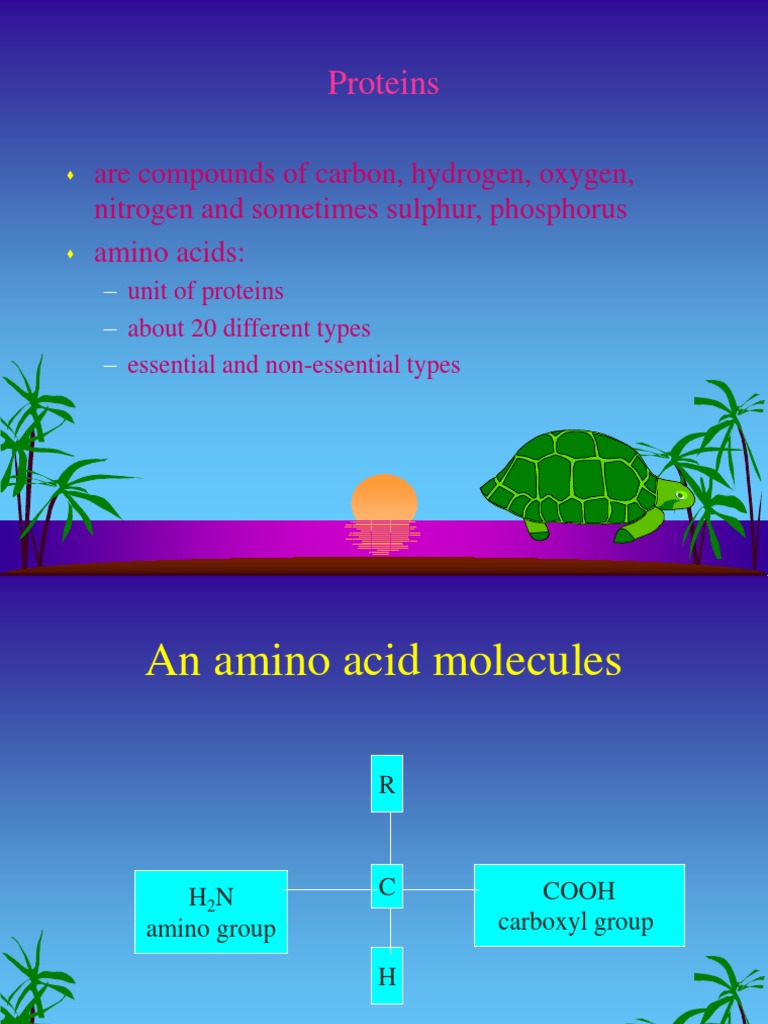 Protein Structure | PDF