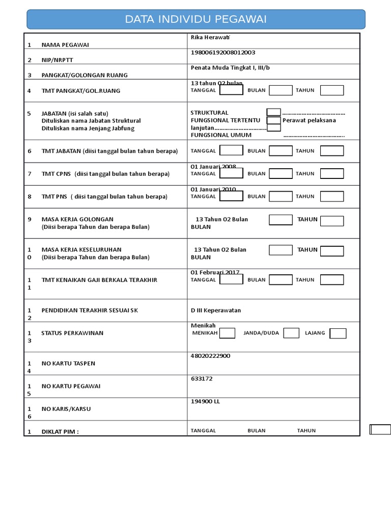 Data Individu Pegawai | PDF
