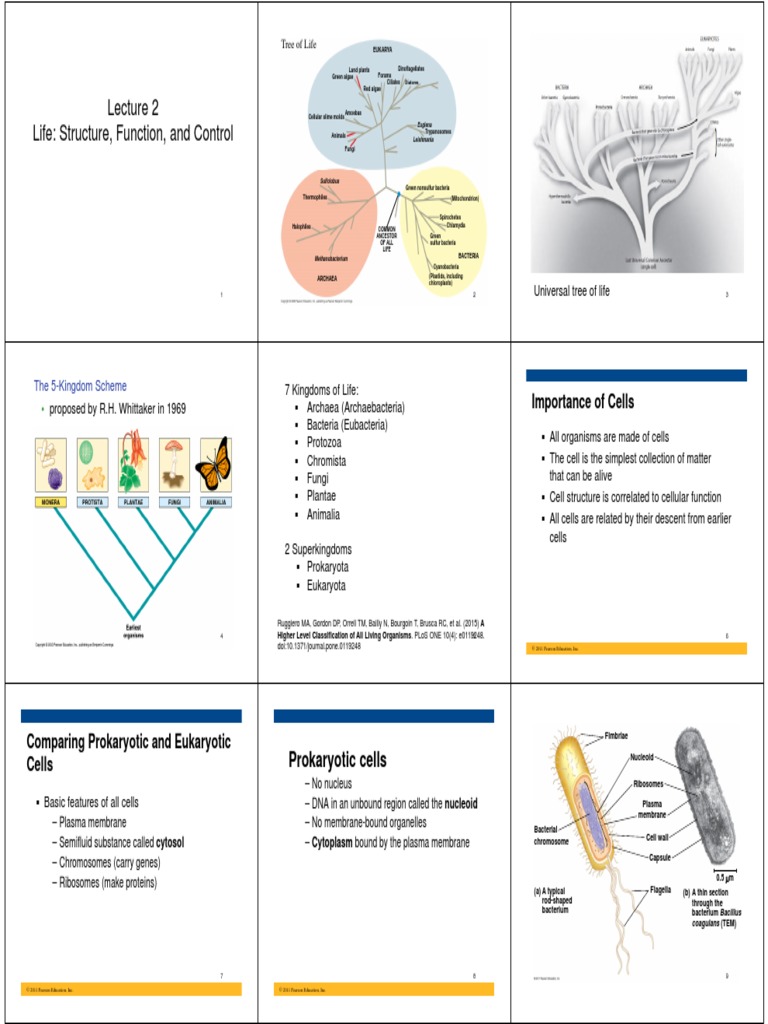Lecture 2a - Life - Structure, Function and Control (Joel) 3 | PDF ...