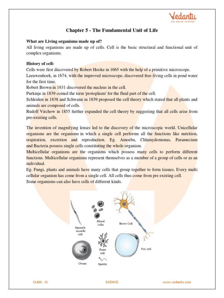Chapter 5 - The Fundamental Unit of Life: What Are Living Organisms ...