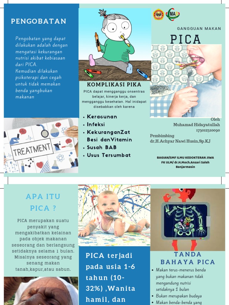 Leaflet PICA | PDF