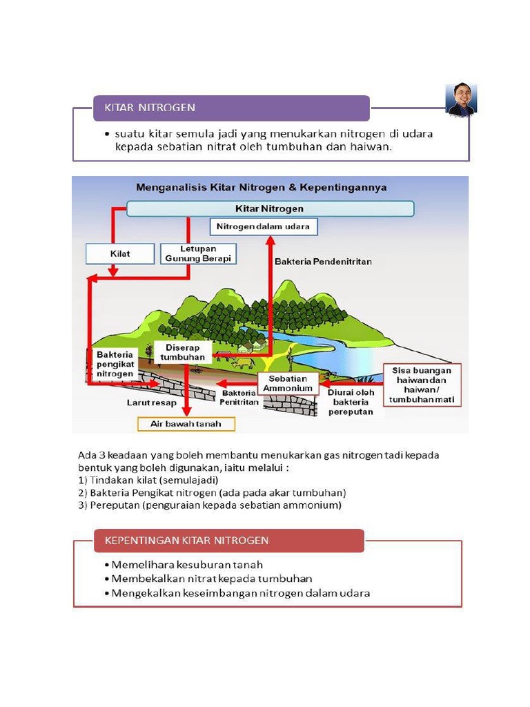Kitar Nitrogen | PDF