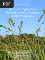 List of Some Common Weeds in The Philippines | PDF