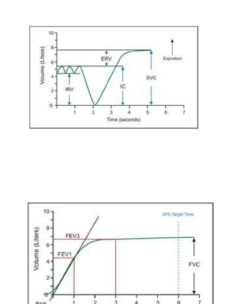 Body Plethysmography | PDF | Respiratory Tract | Lung